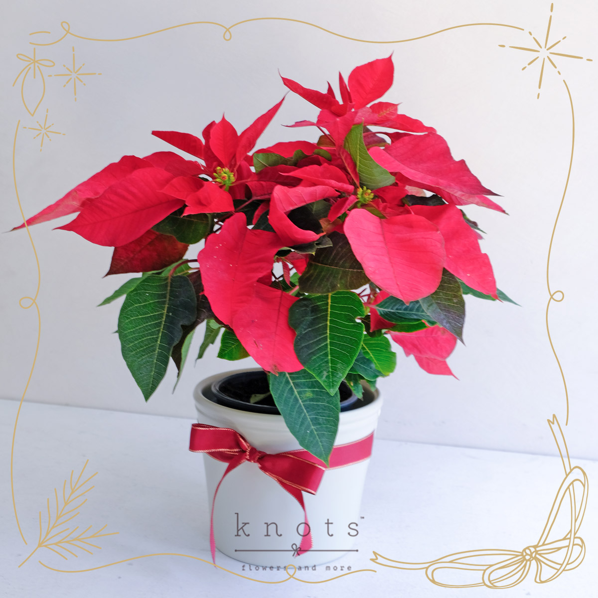 Twinkle Leaf (Holiday Flower Arrangement) | Knots.ph