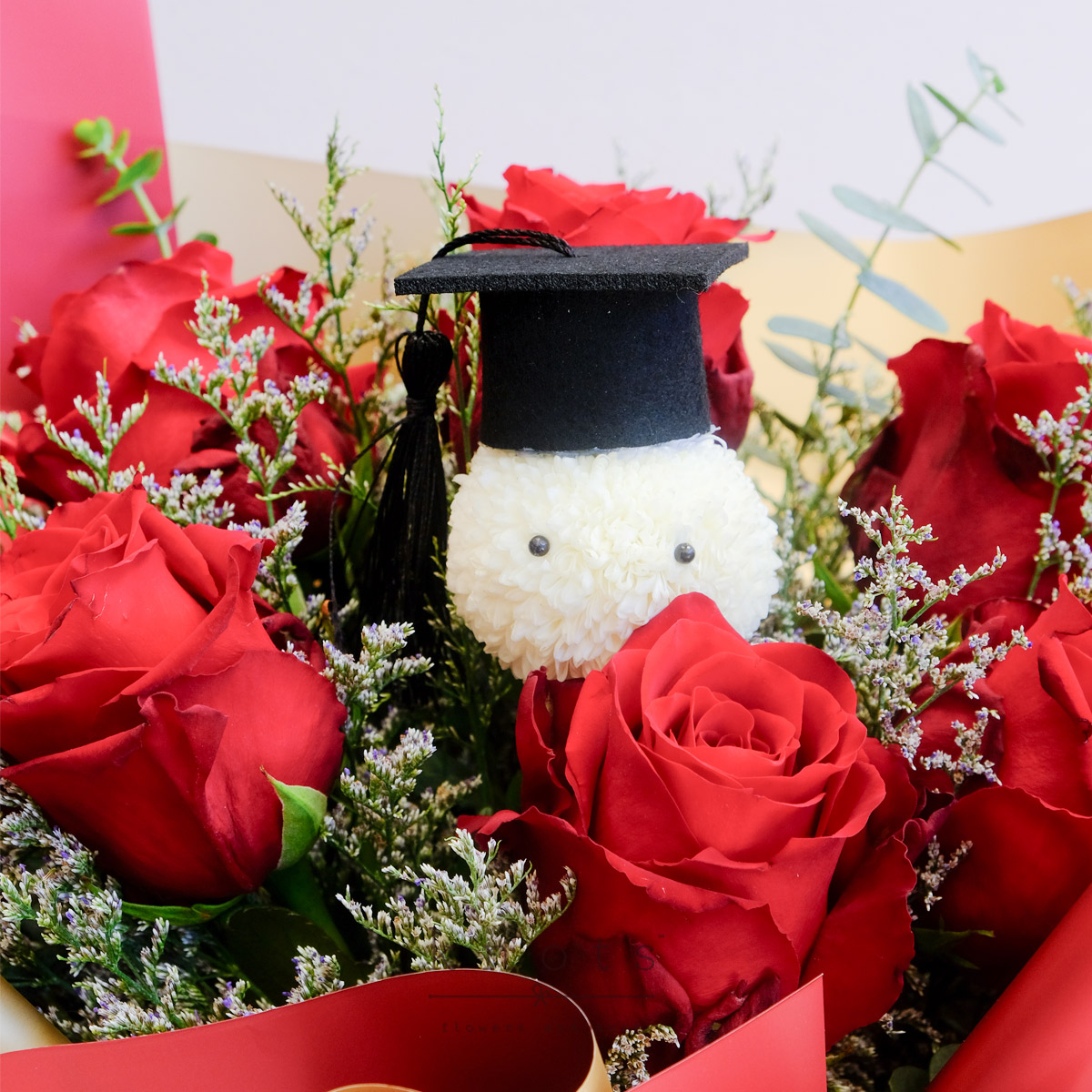 Scarlet Dreams (6 Red Ecuadorian Roses Graduation Bouquet) | Knots.ph