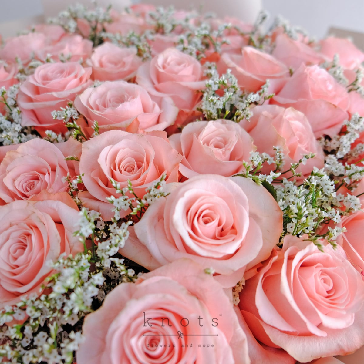 Gala of Roses (50 Stalks Pink Ecuadorian Roses Bouquet) | Knots.ph