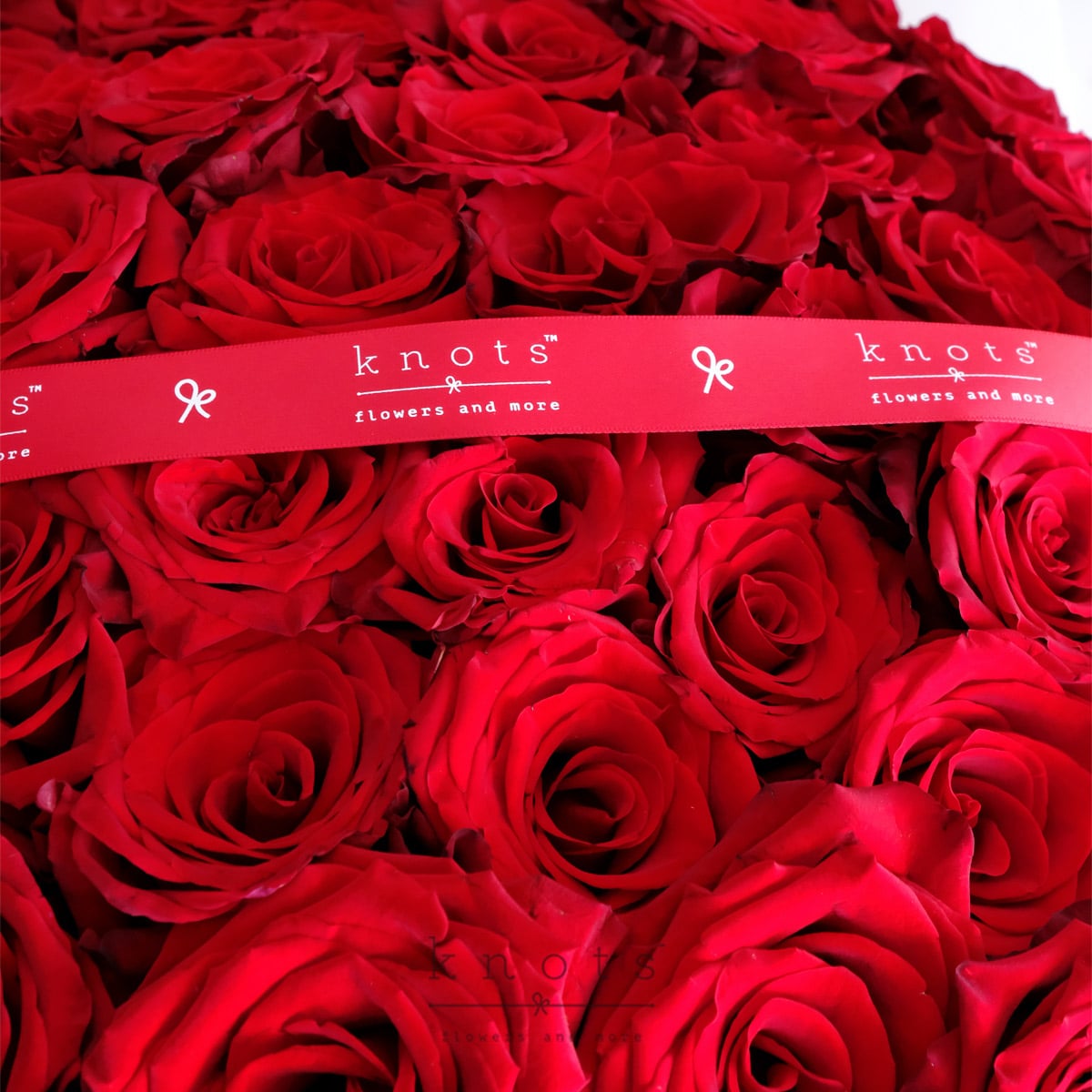 Forever in Red (100 Red Ecuadorian Roses Bouquet) | Knots.ph