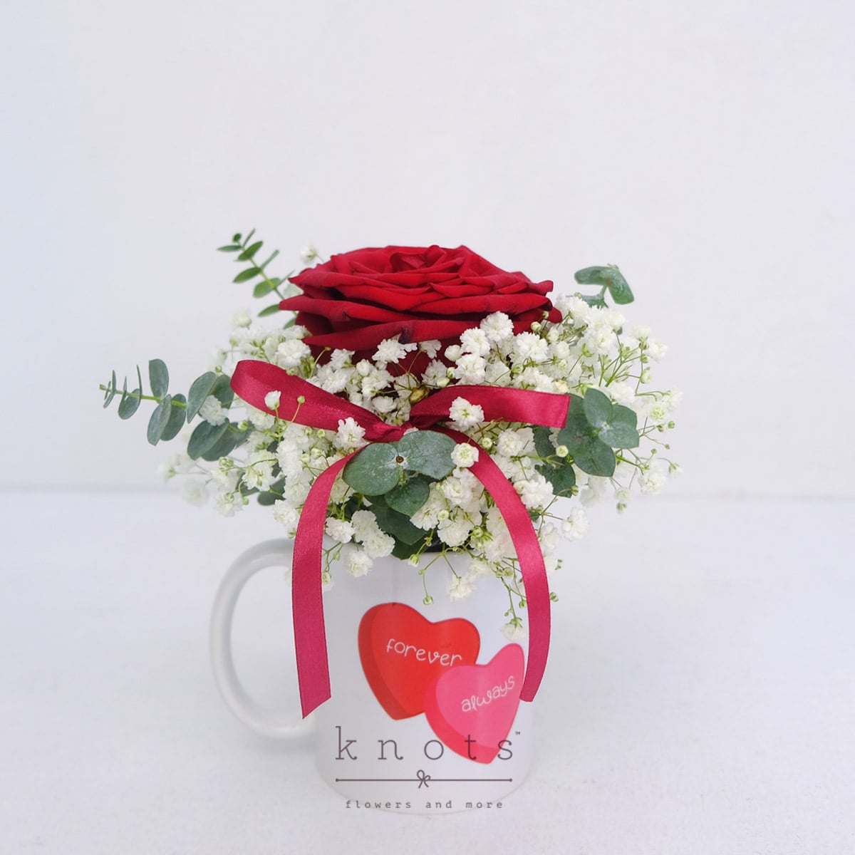 Forever Always (Red Ecuadorian Rose Mug Arrangement) | Knots.ph