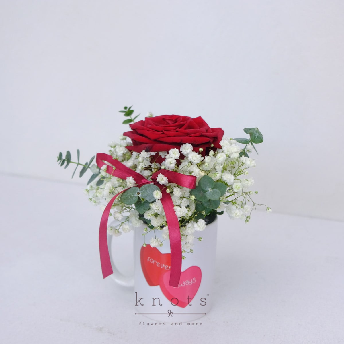 Forever Always (Red Ecuadorian Rose Mug Arrangement) | Knots.ph