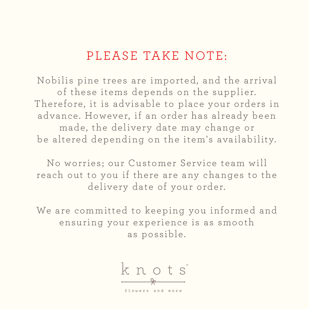 Jolly Joyeux (30cm Fresh Nobilis Pine Tree) | Knots.ph