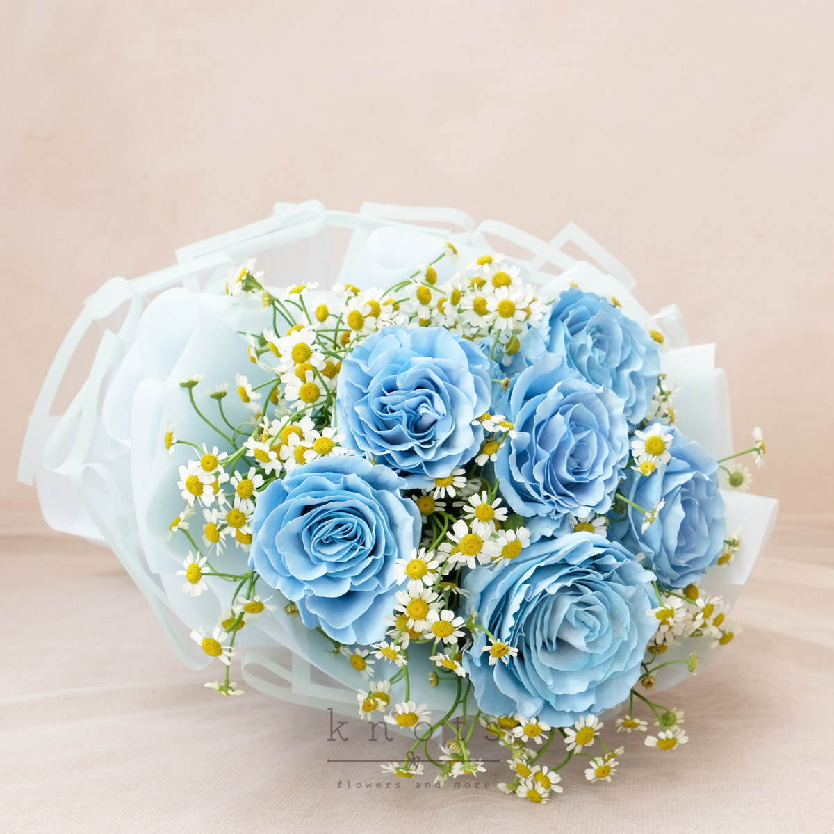 Milky Heaven (6 Powder Blue Ecuadorian Roses) | Knots.ph