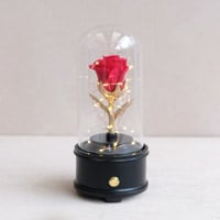 Lorelai (Orange Tulips Bouquet) | Knots.ph